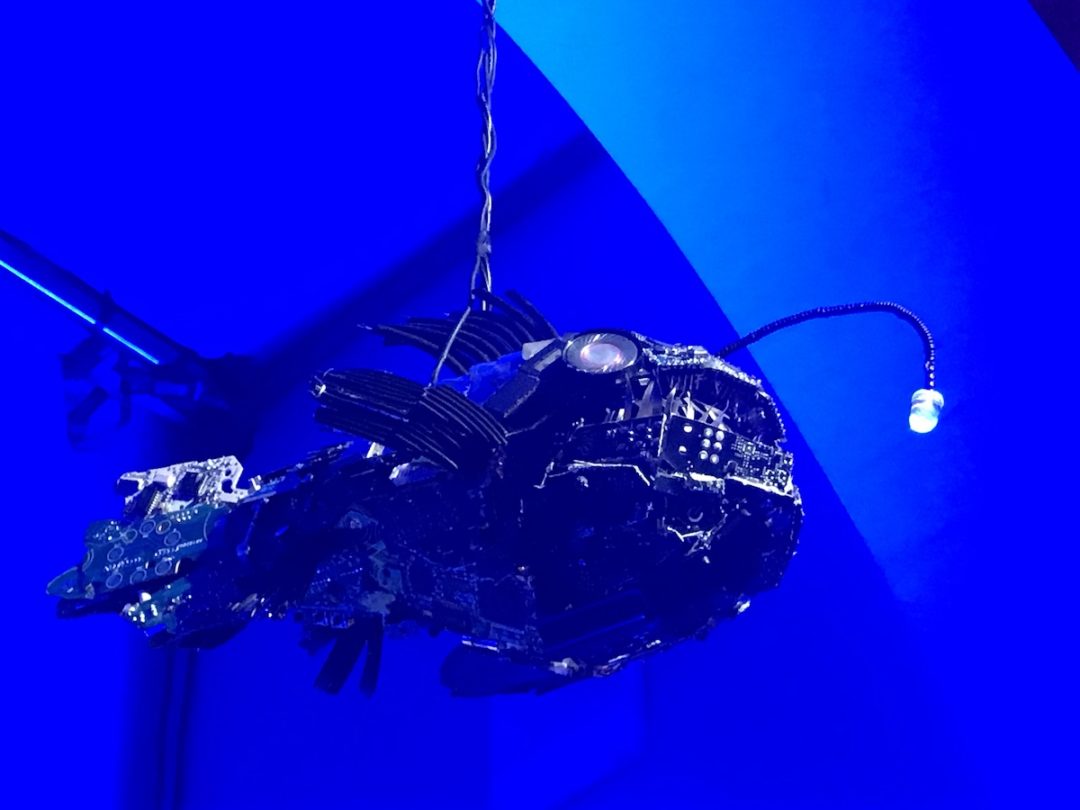 Geneva International Film Festival : GIFF – Flash Leman